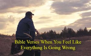 24+Bible Verses About When You Feel Like Everything Is Going Wrong