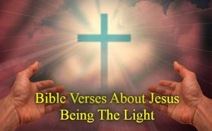 23+Bible Verses About Jesus Being The Light - KJV