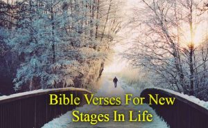 30+Bible Verses For New Stages In Life - KJV